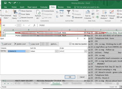 Unexpected Behavior In Excel When Sorting • Physics Forums