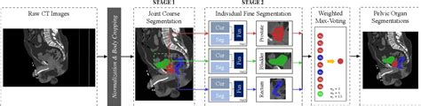 figure 3 from pelvic organ segmentation using distinctive curve guided