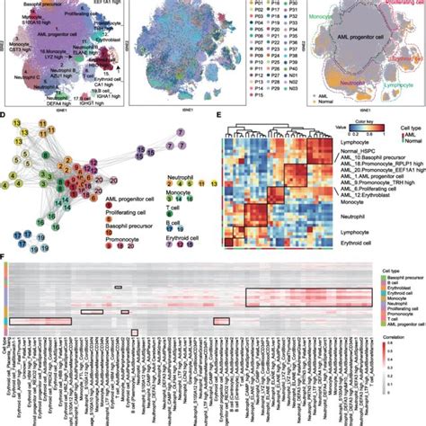 Characterizing The Single Cell Gene Expression Patterns Of Aml Download Scientific Diagram