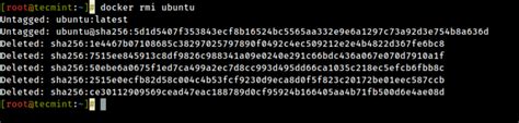 Install Docker And Learn Basic Container Manipulation In CentOS And RHEL Part