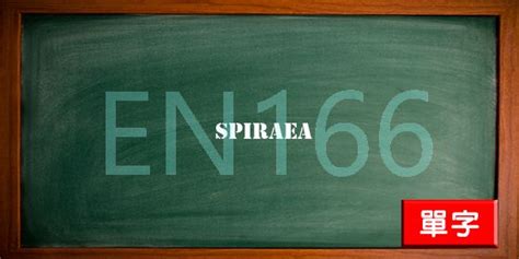 S Spiraea 中文 En166