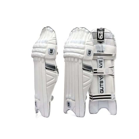 Cricket Pad Axycube Solutions Pvt Ltd