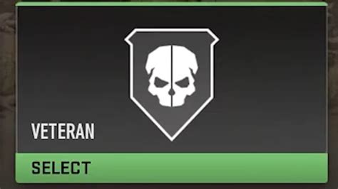 Call Of Duty Veteran Skull