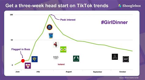 The Biggest Tiktok Trends Of 2023