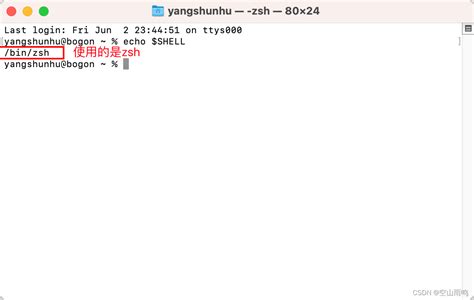 p1 配置环境变量 bash profile 需每次重新加载才能生效 profile重新加载 csdn博客