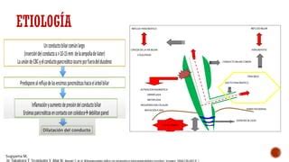 Quiste De ColÉdoco Clasificación De Todani Pptx