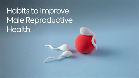 Simple Habits To Improve Male Reproductive Health