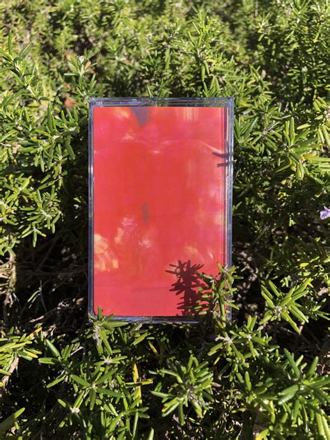 Found Camera Force Model