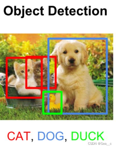 R Cnn Csdn