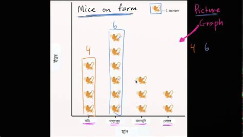Picture Graphs Bangla Youtube