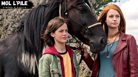 بنت تمتلك حصان🐎من فصيلة نادرة تستطيع التواصل معه وقراءة أفكاره ♥️ملخص فيلم 🎦 𝐖𝐢𝐧𝐝𝐬𝐭𝐨𝐫𝐦 𝐓𝐡𝐞