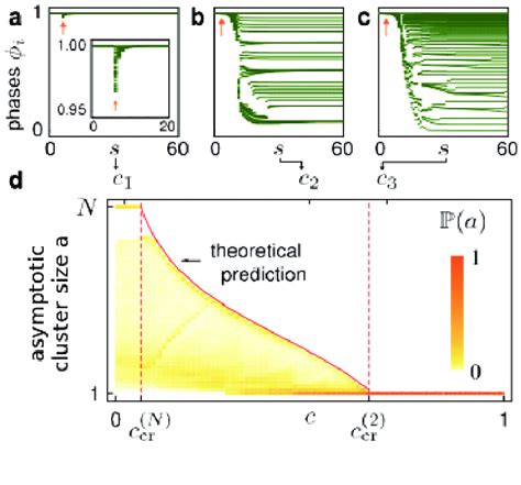 Sequential Desynchronization Transition In A Network Of N50 Neurons Download Scientific