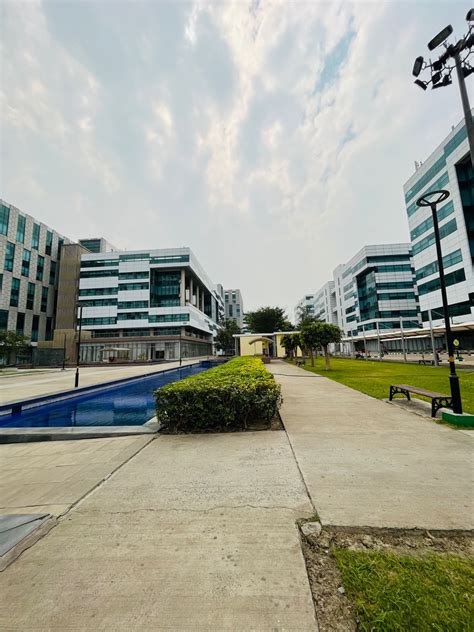 Shreya Gupta On Linkedin Work Workplace Candor Capgemini Capgeminiindia