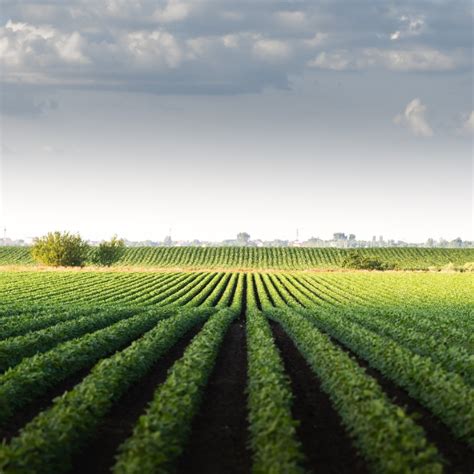 Environmental Fate Enviresearch