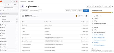 Jenkins整合docker实现cicd自动化部署（若依项目）jenkins Docker Cicd Csdn博客