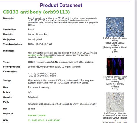Is It Possible That A Protein Fasta File Contains Its Anti Body Also
