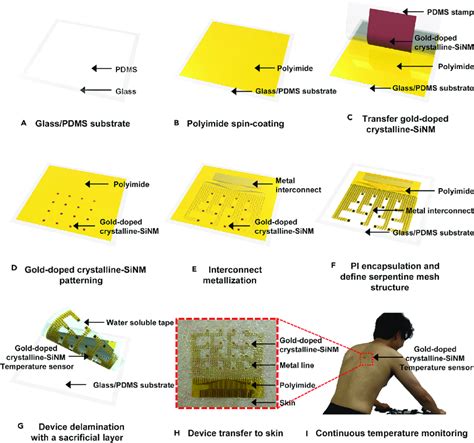 Fabrication Process Of Gold Doped Crystalline Sinm Temperature Sensor Download Scientific