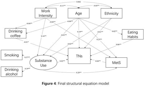 Final Structural Equation Model 326x198mm 300 X 300 Dpi Download
