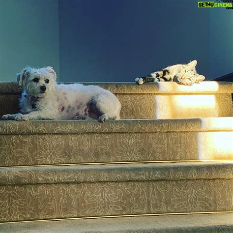 Melody Thomas Scott Gethu Cinema