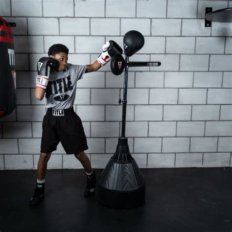 Тренажер для бокса TITLE Rapid-Reflex Boxing Bar Tri-Bag купить в ...
