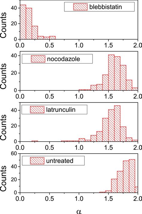 Superdiffusion Dominates Intracellular Particle Motion In The Supercrowded Cytoplasm Of