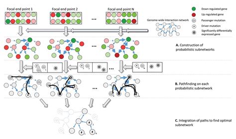 Automatic Identification Of Genes Driving Microevolution In Evolution