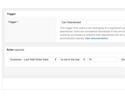 WooCommerce AutomateWoo Plugin Download 25