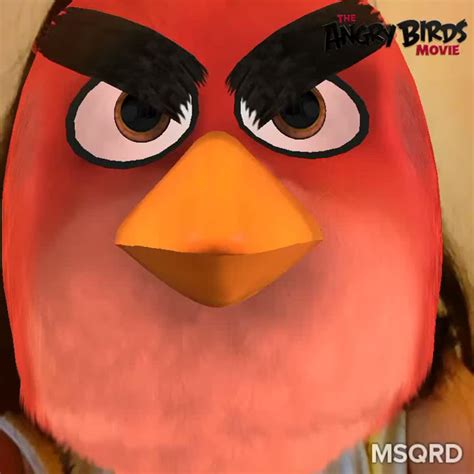 Mad Angry Bird Its Just Me 😂 Youtube