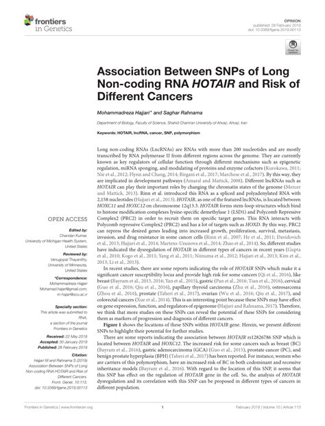 Pdf Association Between Snps Of Long Non Coding Rna Hotair And Risk Pdf Association Between Snps Of Long Non Coding Rna Hotair And Risk