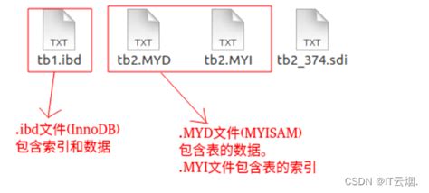 数据库索引（详细解析） csdn博客
