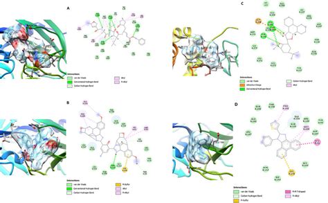 3d Left And 2d Right Views Of The Molecular Interactions Of