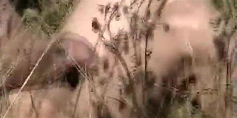 Outdoor Spy Twiggi Voyeur 01