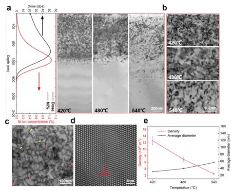 Distribution Of Irradiation Induced Dislocation Loops A Cross Section