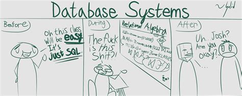 database systems r programmerhumor