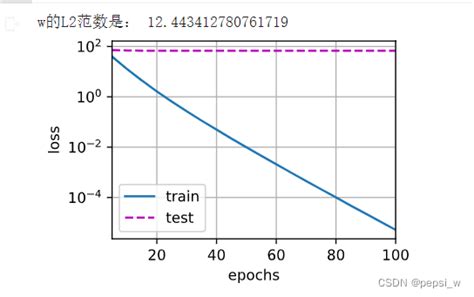 2 权重衰退 torch norm item csdn博客
