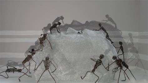 Spatial Dynamics Assignment On Behance Spatial Dynamics Assignment On Behance