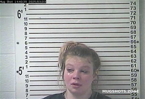 Robinson Allison Deshea 03232025 Hardin County Mugshots Zone