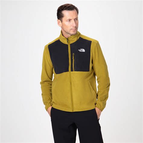 Мужская флисовая кофта The North Face Homesafe Full Zip Fleece ...