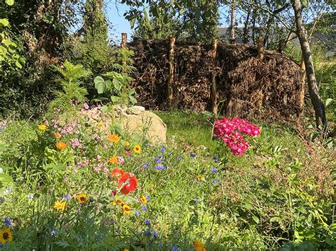 Pourquoi Et Comment Faire Une Haie Sèche Ou Haie De Benjes