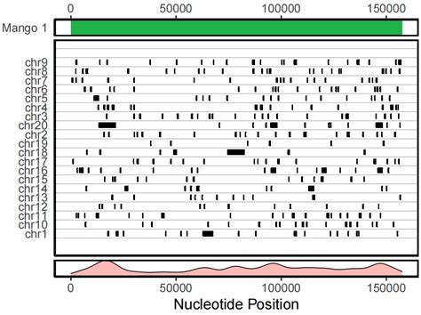 20240506 Minimap2软件比对结果的可视化方法 宋威博客 Blog