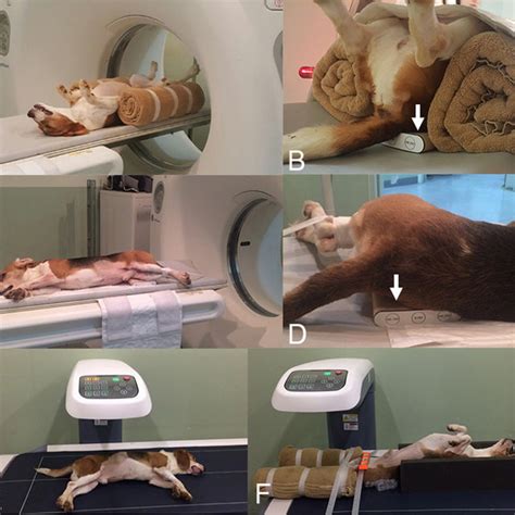 Positioning For Quantitative Computed Tomography Qct And Dual X Ray