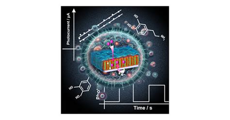 Hydrogelmof Dual Modified Photoelectrochemical Biosensor For Antibiofouling And Biocompatible