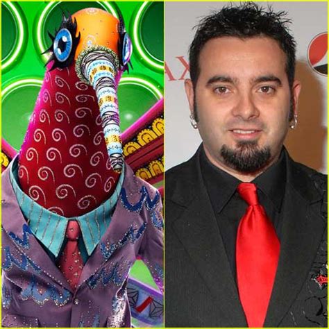 ‘the Masked Singer 2022 Three Stars Unmasked And Eliminated In Episode