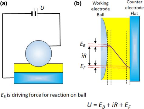Two Electrode Cell A Schematic Arrangement B Electrical Potential