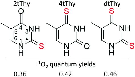 Thymine Numbering