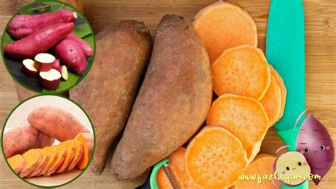 Keledek Segalanya Tentang Tumbuhan