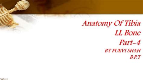 Fibula Bone Anatomy Pptx