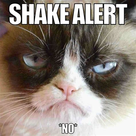 15 Funny Earthquake Memes That Shook The Internet