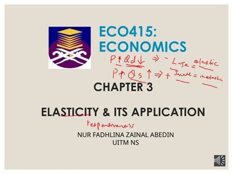 Chapter 3 Elasticity And Its Applicationpptpptx