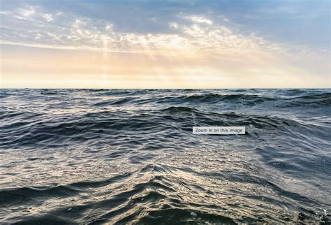 Navigating The Storm Moving As A Late Realized Autistic Mom